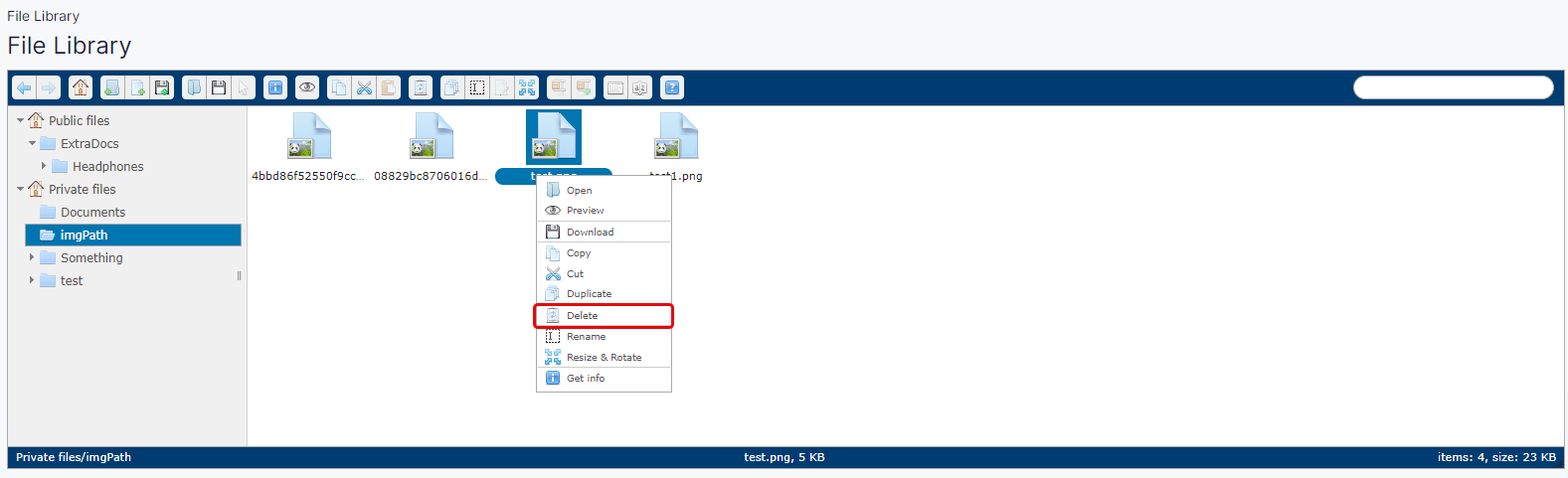 What can I do if previously deleted files reappear in File Library following FTP import?